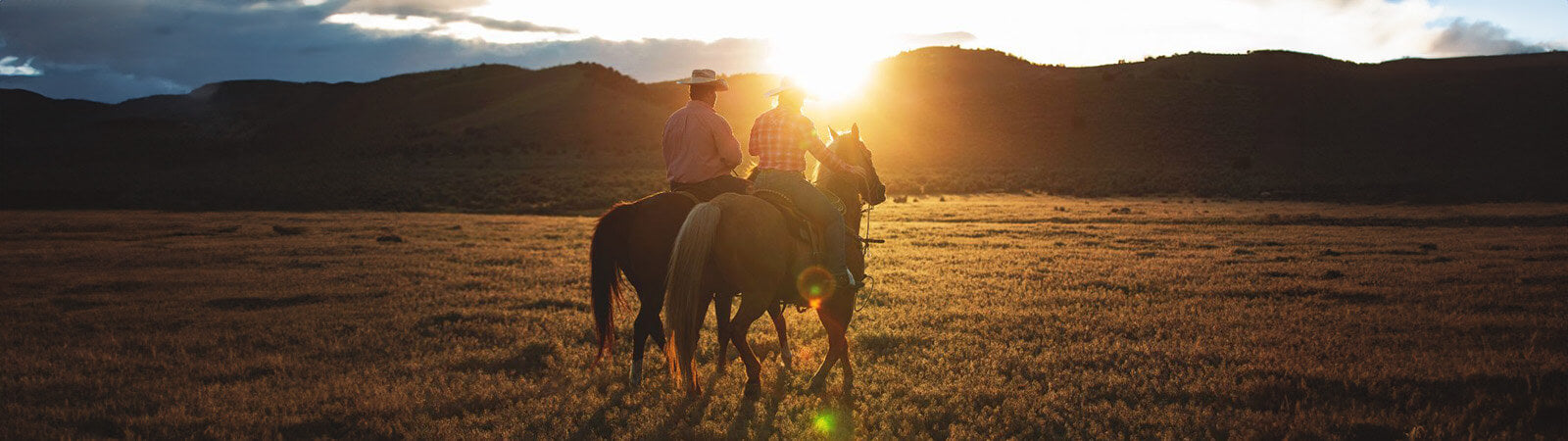 Men's Looks – Texas Boot Company